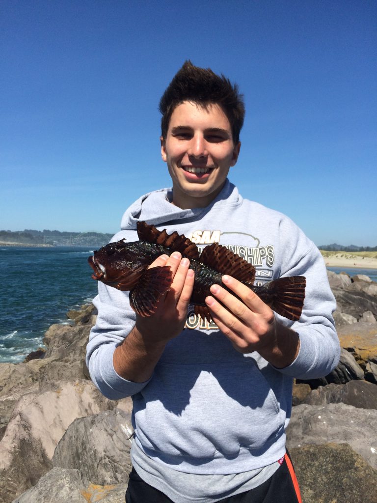 Species #69 — Brown Irish Lord – CaughtOvgard