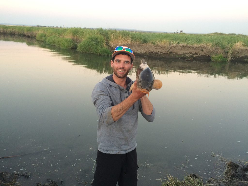 Species #70 — Common Carp – CaughtOvgard