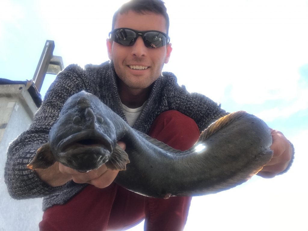 Species #82 — Monkeyface Prickleback – CaughtOvgard