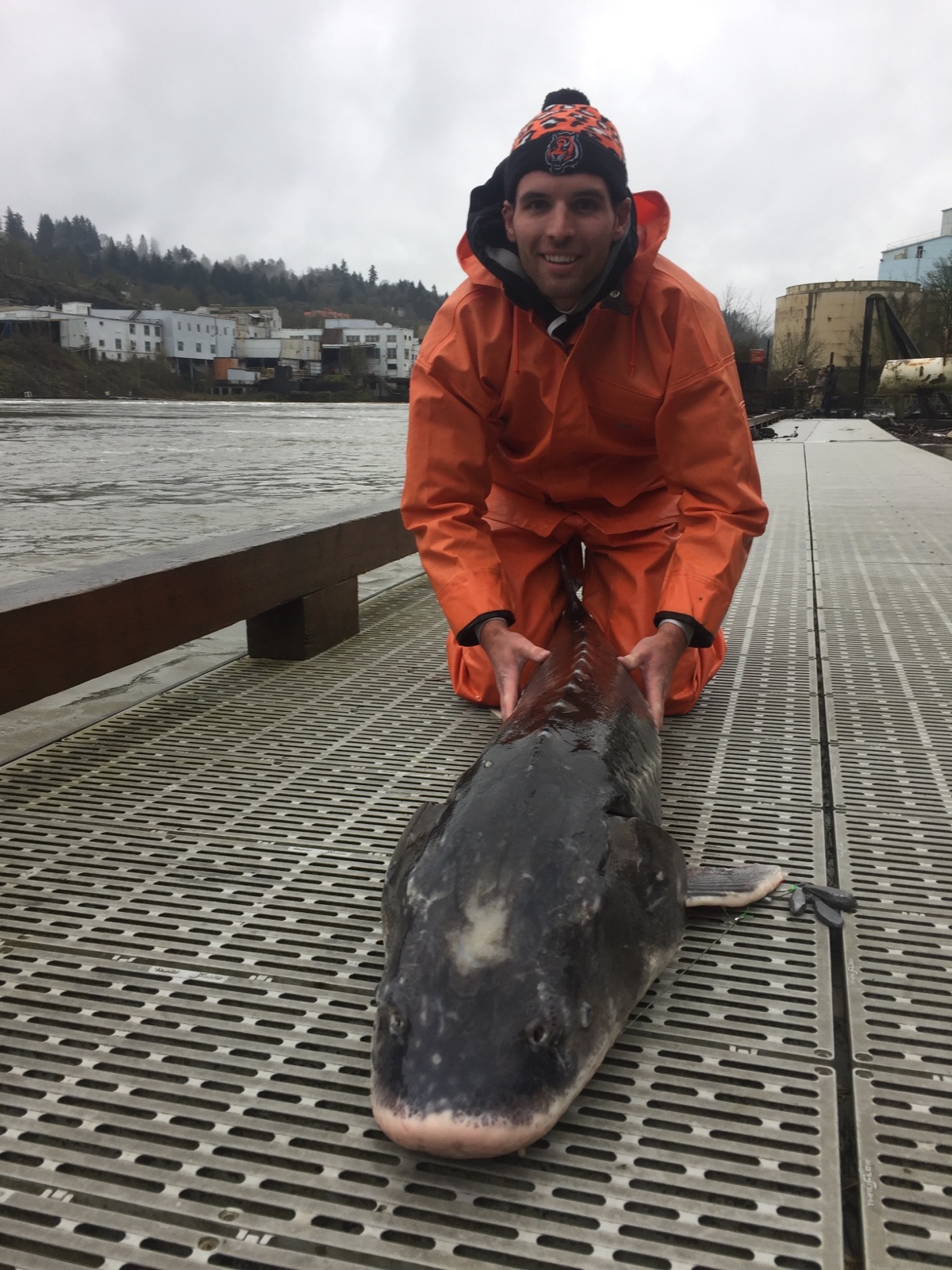 How To Measure Fish CaughtOvgard