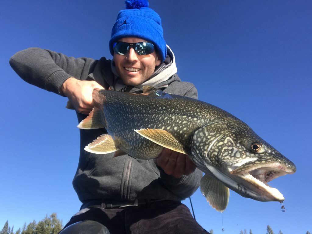 Species #114 — Lake Trout – CaughtOvgard